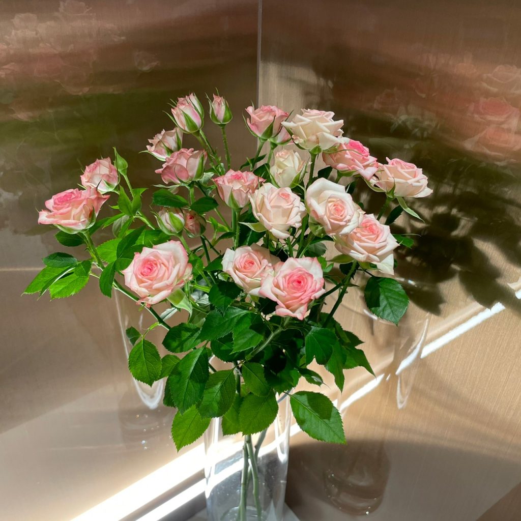 スプレーバラ『ピンクワルツ』 | 花屋 はな輔